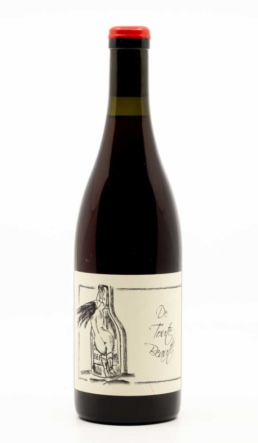 GANEVAT - Vin de France De Toute Beauté 2021 rouge - Vin vin de france ...